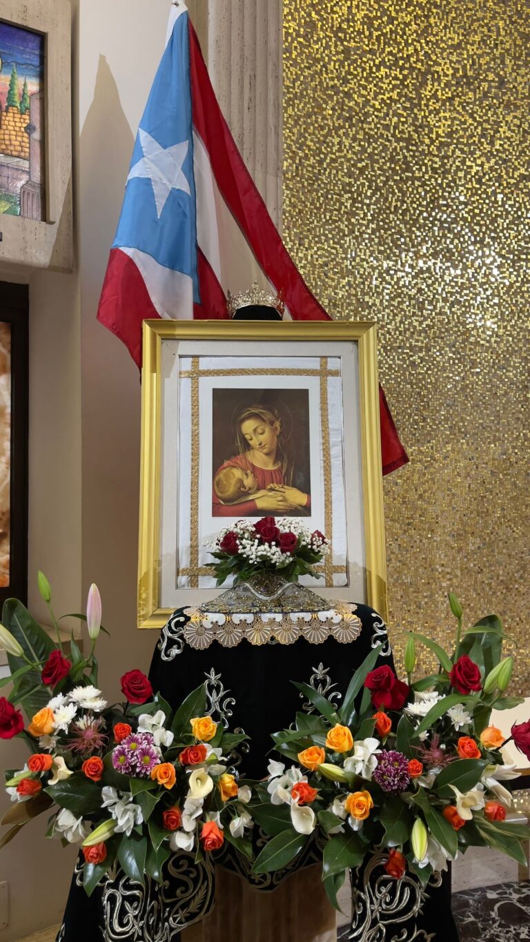 Nuestra Señora de la Divina Providencia, Patrona de Puerto Rico - PCIMME